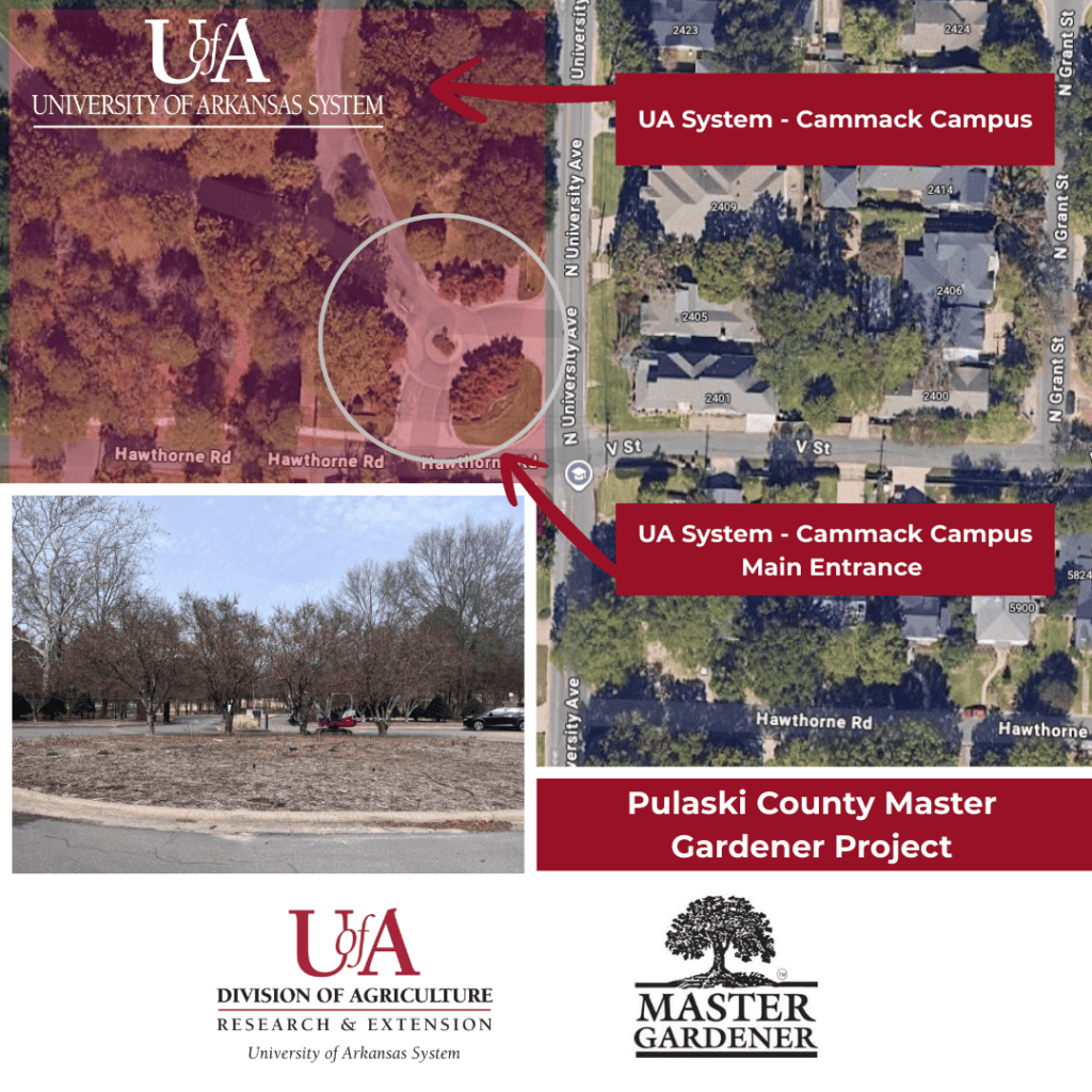 UA System - Cammack Campus Main Entrance Landscape Project Underway ...